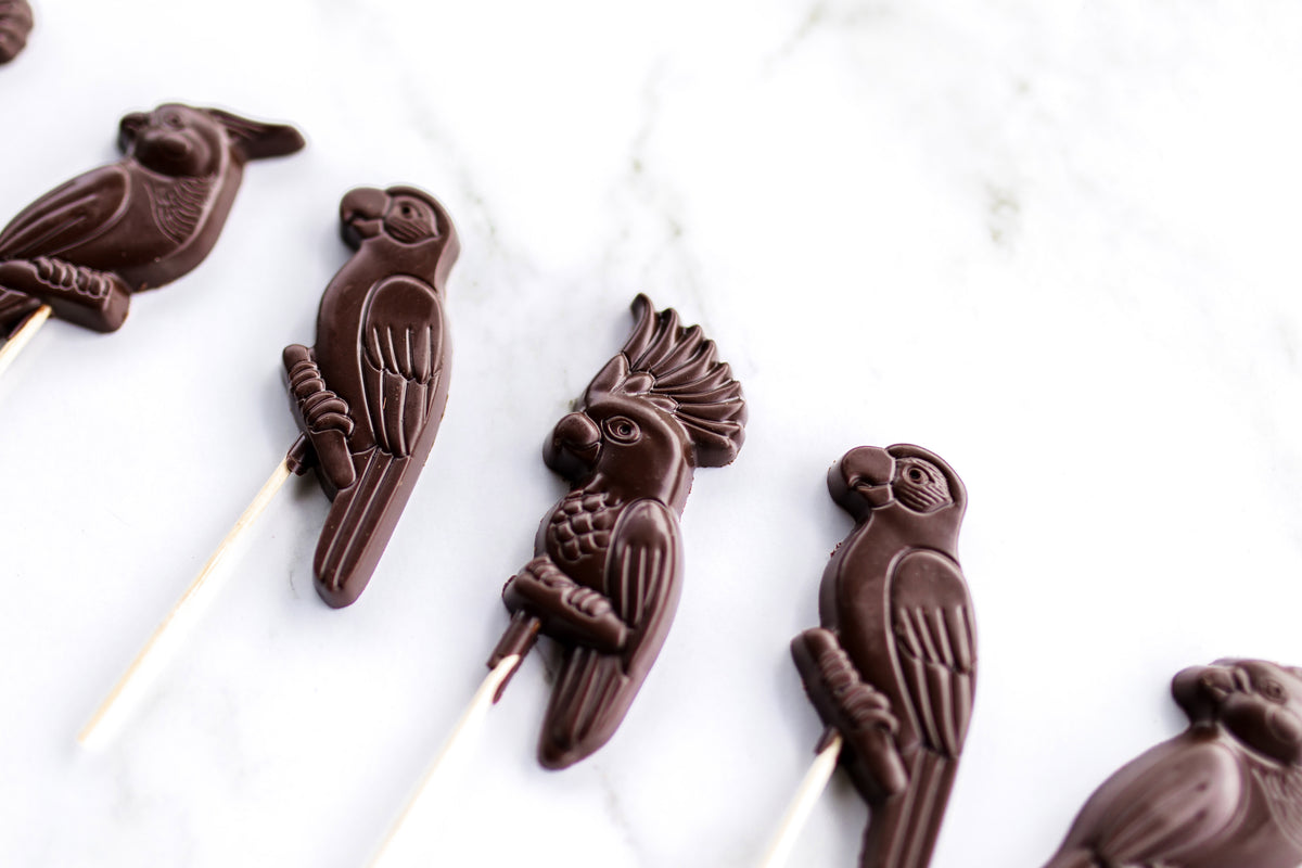 Pack of six native Australian bird chocolates - organic Australian ...